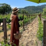 Wine Tour Pros - Wine Tour and Transportation: SUV Up To 6 Guests - Why a Private Napa & Sonoma Wine Tour Is a Wise Choice