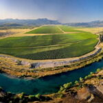 WINE TOUR: Recommended for hedonists! - Exploring the Wine Cellar 13. Jul Plantae