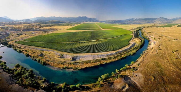WINE TOUR: Recommended for hedonists! - Exploring the Wine Cellar 13. Jul Plantae