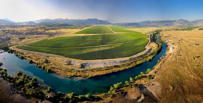 WINE TOUR: Recommended for hedonists! - Exploring the Wine Cellar 13. Jul Plantae