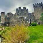 Wine Tour Transportation Services in Napa Valley - Authentic Experiences and Real Traveler Perspectives