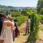 Wine Tour with Lunch and Wine Tasting - A Deep Dive into the Experience