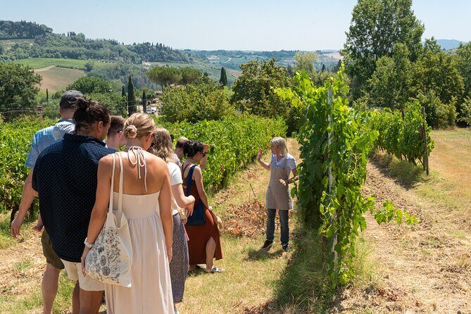 Wine Tour with Lunch and Wine Tasting - A Deep Dive into the Experience