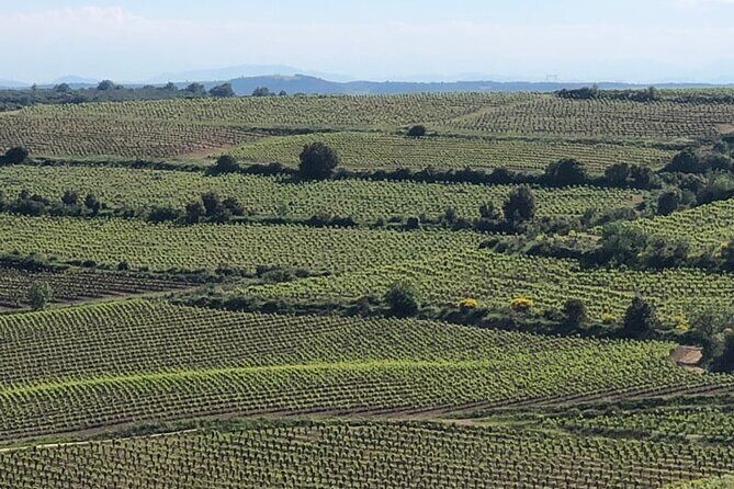 Wine Tours and Tastings from Béziers - The Value and Practicalities