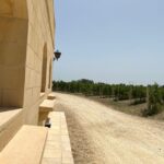 Wine with Maltese Grapes TOUR IN PORTUGUESE - Key Points