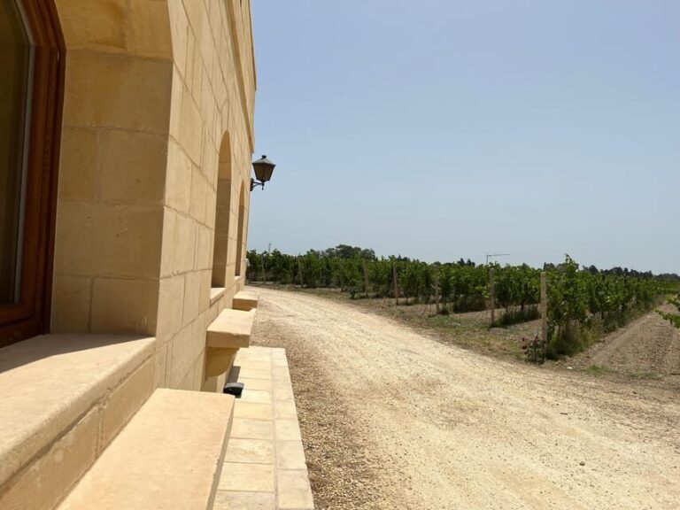 Wine with Maltese Grapes TOUR IN PORTUGUESE - Key Points