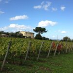 Winery tour and wine & cheese tasting - Who Will Enjoy This Tour?