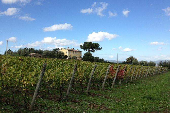 Winery tour and wine & cheese tasting - Who Will Enjoy This Tour?