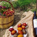 Winery Tour and Wine Tasting at Karimalis Winery in Ikaria - Final Thoughts: Is It Worth It?