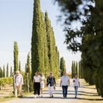 Winery Tour & Gourmet Tasting in Montalcino - The Details: What You Can Expect