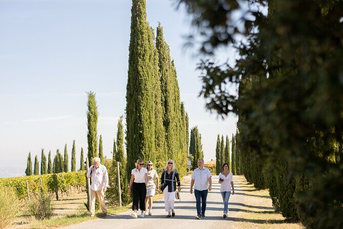 Winery Tour & Gourmet Tasting in Montalcino - The Details: What You Can Expect