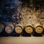 Winery Tour in Menorca with Wine Tasting - An In-Depth Look at the Experience