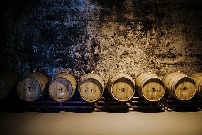 Winery Tour in Menorca with Wine Tasting - An In-Depth Look at the Experience