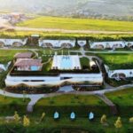 Winery touring & private wine tasting - one day private tour - Itinerary Breakdown