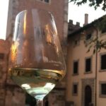 Winery tours and tastings in Bolgheri with Wine Guide - Authentic Reviews Confirm What Matters