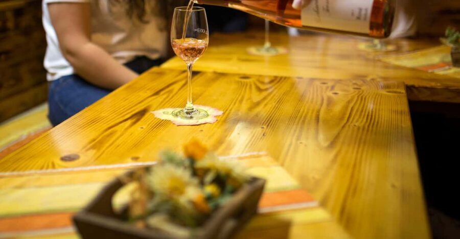 Winetasting with tour through the winery - Deep Dive into the Itinerary: What to Expect