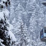 Winter - Alaska Wildlife Center with Alyeska Tram - Transportation and Timing