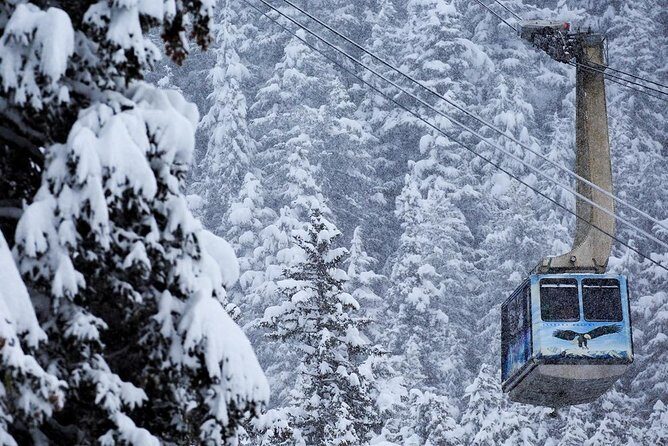 Winter - Alaska Wildlife Center with Alyeska Tram - Transportation and Timing
