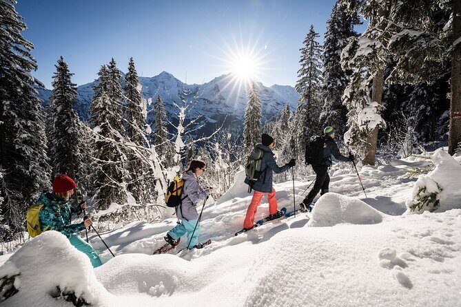 Winter Alpine Adventure - Final Thoughts