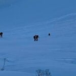 Winter Hiking Set for Snowshoes and Trek Poles - Who Will Appreciate This Experience?
