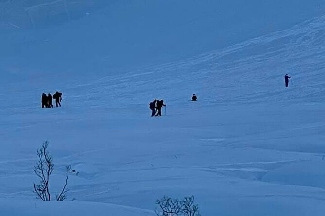 Winter Hiking Set for Snowshoes and Trek Poles - Who Will Appreciate This Experience?