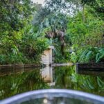 Winter Park Chain of Lakes Day Time Clear Kayak Paddle - What the Itinerary Looks Like