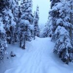 Winter Valley and Forest Hike - FAQ