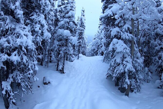 Winter Valley and Forest Hike - FAQ