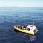 Winter Whale Watching Adventure in Kauai - The Real Experiences: What Travelers Say