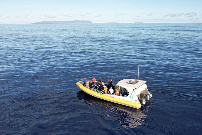 Winter Whale Watching Adventure in Kauai - The Real Experiences: What Travelers Say