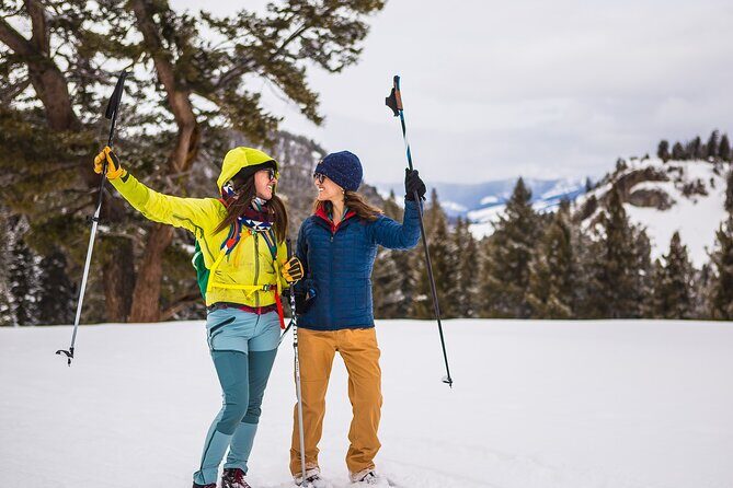 Winter Wildlife Safari: Lamar Valley | Bozeman | PRIVATE + Lunch - Wildlife Stops in Slough Creek and Beyond