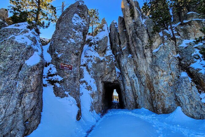 Winter Yellowstone, Grand Teton, and Mount Rushmore 7-day Tour - Who Is This Tour Best For?