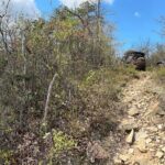 Wintergreen Resort Off-Road Jeep Adventure - What Is the Wintergreen Resort Off-Road Jeep Adventure?