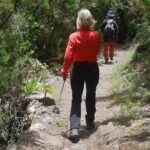 Wonderful hike through the Magic Forest of Tenerife - Authentic Connections and Personal Stories
