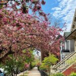 Workers Cottages of Oldtown Triangle Walking Tour - A Deep Dive into the Oldtown Triangle Walking Tour