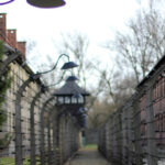 Wroclaw to Auschwitz-Birkenau Private Full-Day Trip by Car - The Guided Tour: Depth, Respect, and Clarity