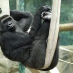Wroclaw: Zoo with Private Transport and Tickets - Analyzing the Value