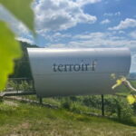Würzburg: Excursion to the vineyards - enjoyable wine hike & tasting - The Itinerary: What You Can Expect
