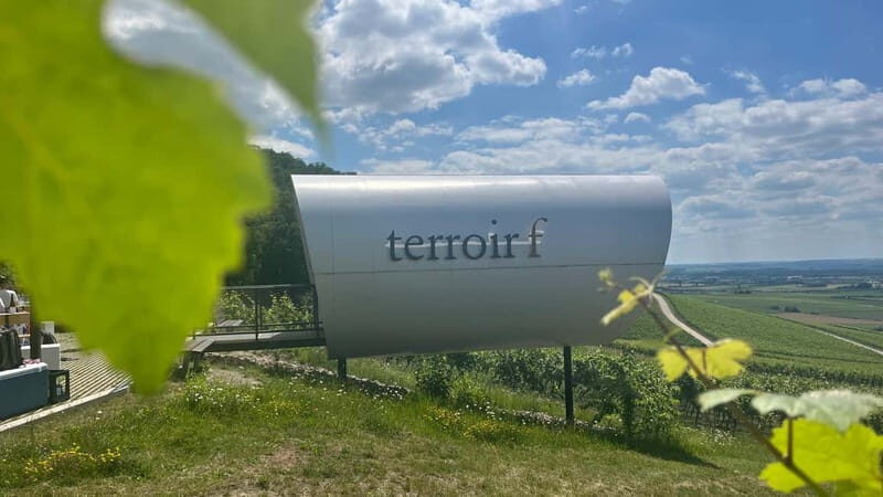 Würzburg: Excursion to the vineyards - enjoyable wine hike & tasting - The Itinerary: What You Can Expect