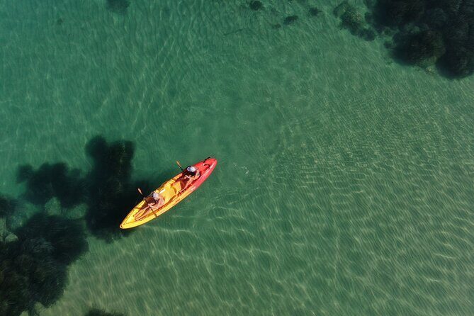 WWF Kayak Tour from Cala Manbrù to Torre Salsa Reserve - Exploring the Itinerary: A Closer Look