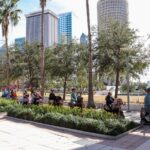 Wyld Things Rydables Tour of Tampa - The Practical Side: What to Expect