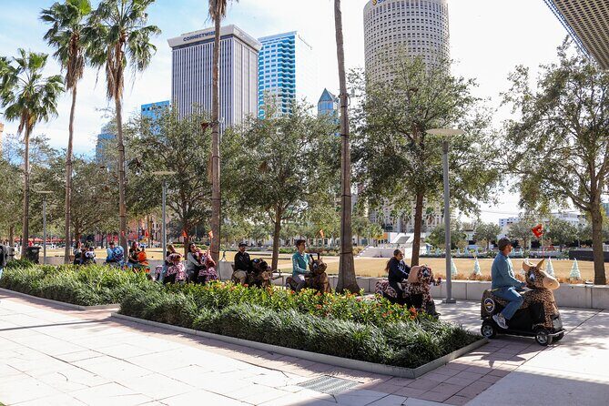 Wyld Things Rydables Tour of Tampa - The Practical Side: What to Expect