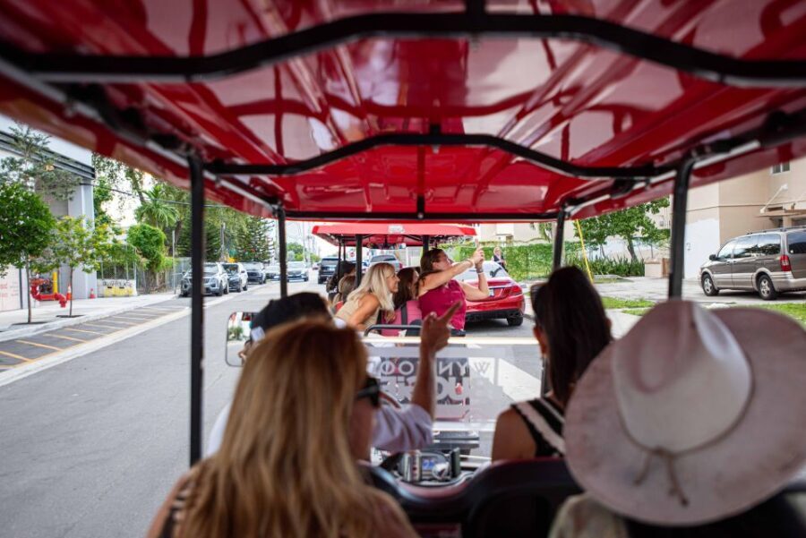 Wynwood Art District 1-Hour Wynwood Buggies Street Art Tour - The Guides and Overall Experience