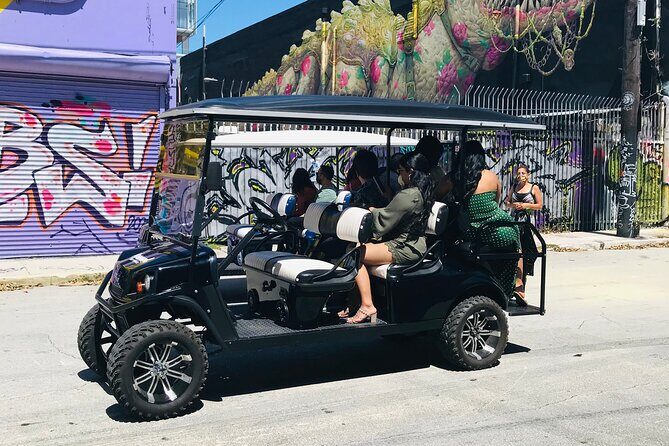 Wynwood Graffiti Golf Cart Small-Group Tour - What Travelers Say: Authentic Feedback