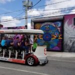 Wynwood Graffiti InstaTour on a Party Bike - The Itinerary: What to Expect