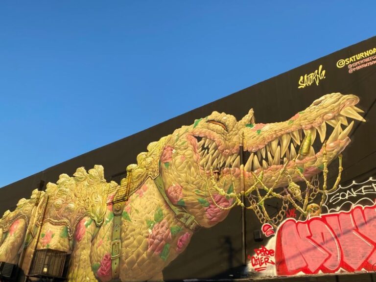 Wynwood walking tour in French (2h) - Why Choose This Tour?