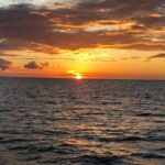 Yacht Charter Madeira beach and Tampa Bay - A Closer Look at the Experience