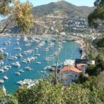 Yellow Semi-Submarine Tour of Catalina Island From Avalon - Who Will Love This Tour?