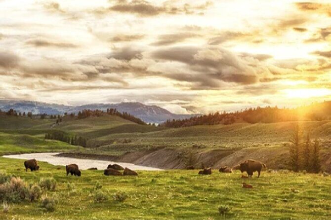 Yellowstone and Grand Teton 4 Day 3 Night Wildlife Adventure - Practical Aspects and Considerations