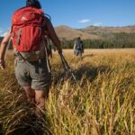 Yellowstone Full Day Private Hike - The Value of a Private Guided Hike